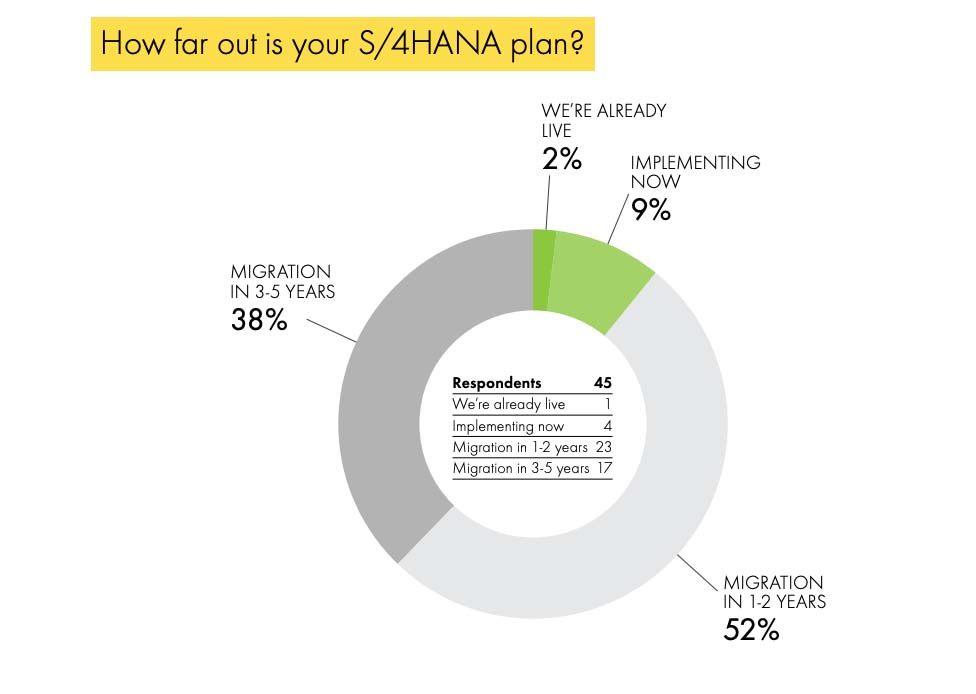 S/4 HANA Migration Planning Research Report