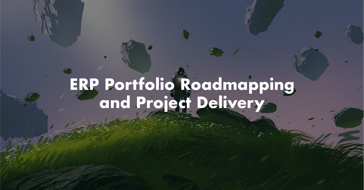 How to achieve seamless project portfolio delivery in a complex ERP ...