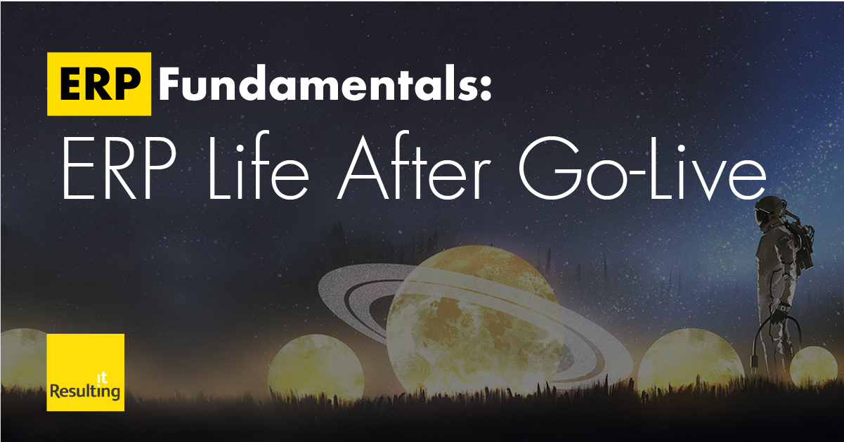 ERP Fundamentals: Life After Go-Live