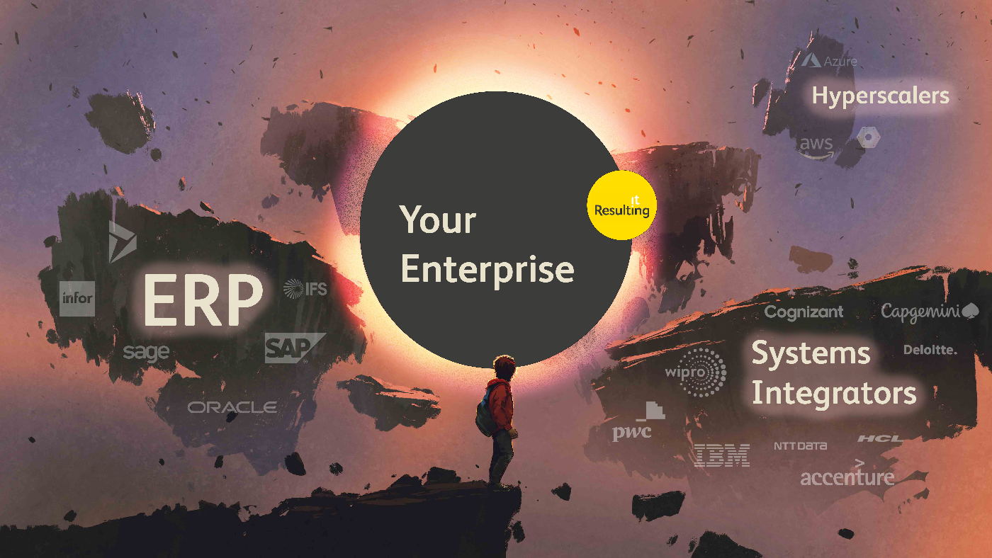 Who can help me manage a complex ERP programme